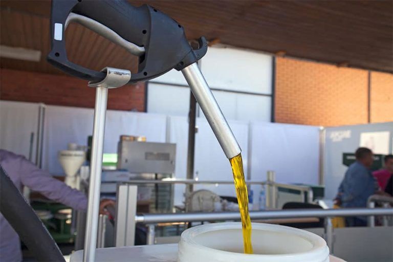 How Biofuel Works: Turning Organic Waste into Energy